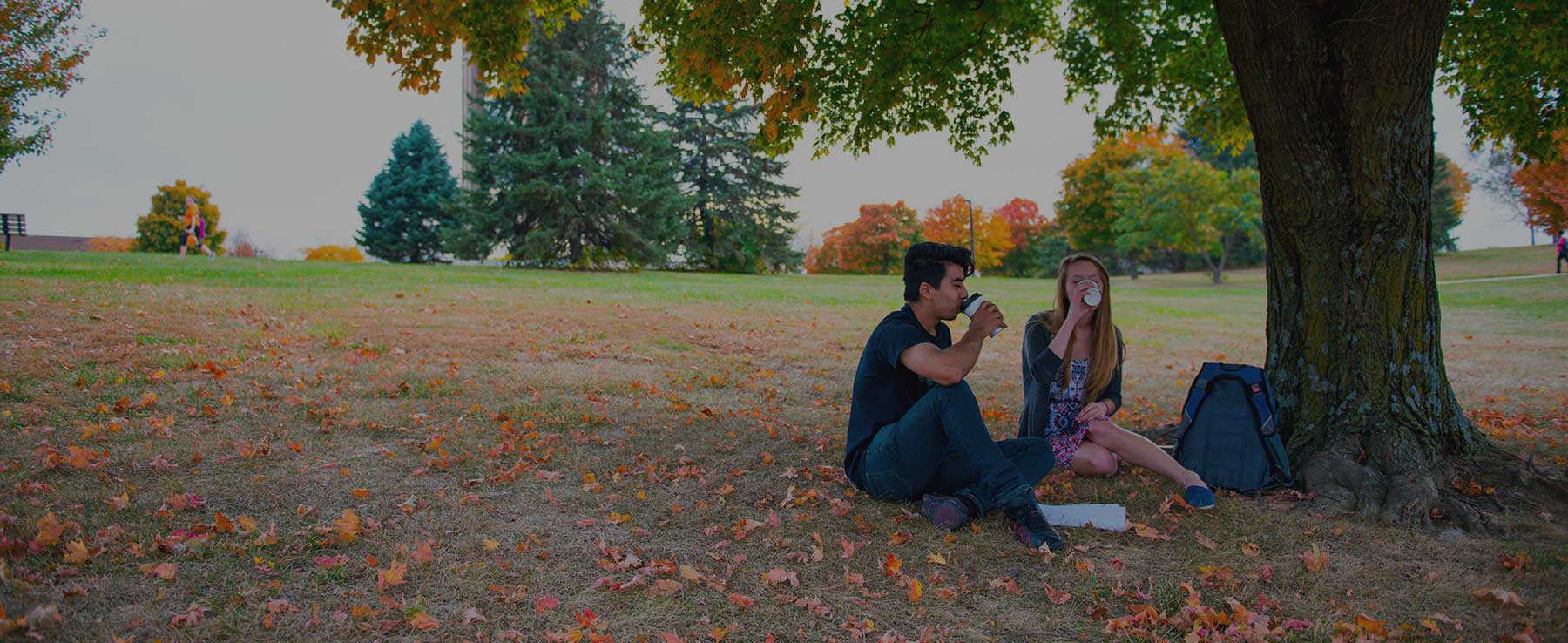 Students drinking coffee under a tree – Admissions