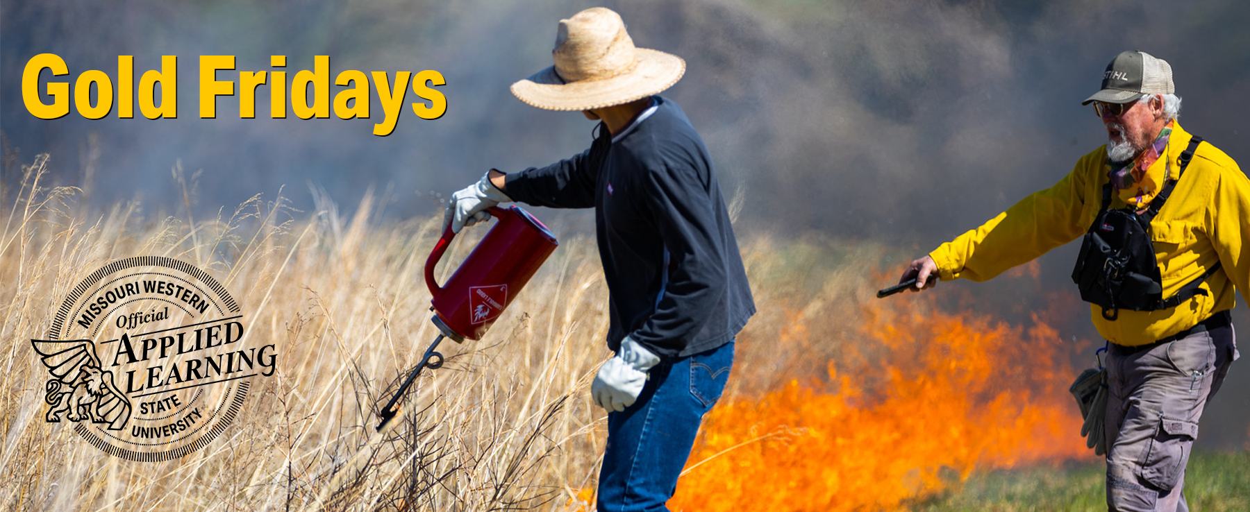 Gold Fridays – Admissions