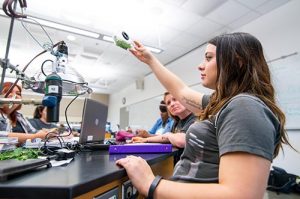 Biology – Department of Biology