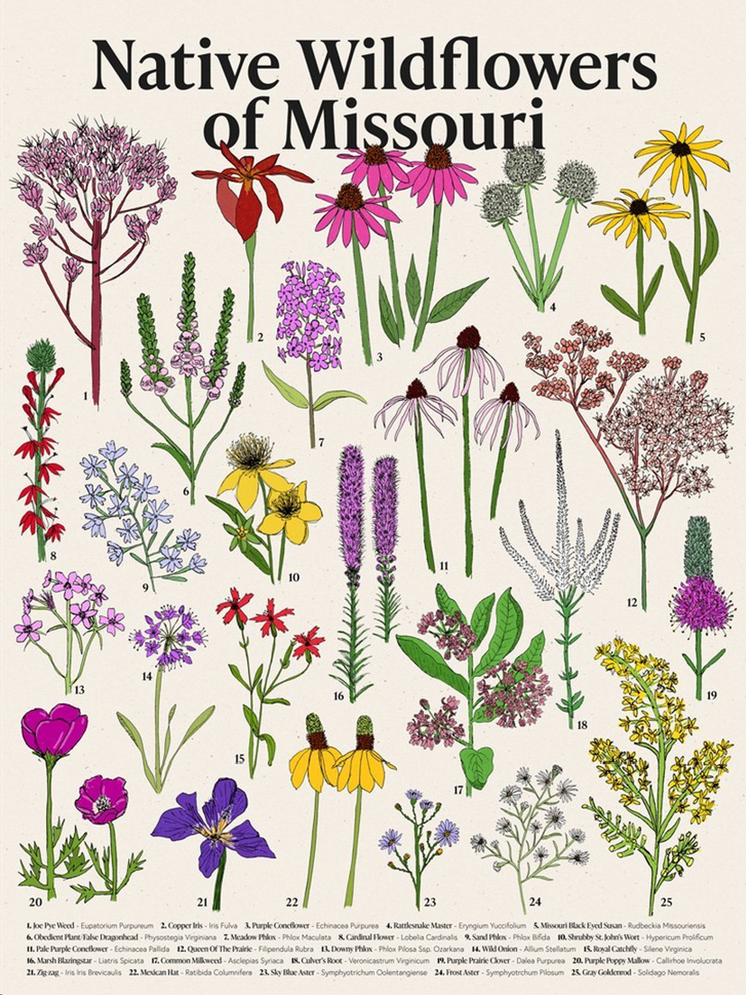 Reservations for Your Native Plants – Native Plant Sale