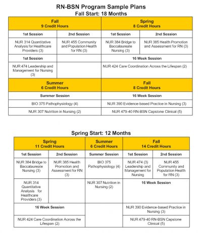 RN-BSN Track | Department of Nursing | MWSU