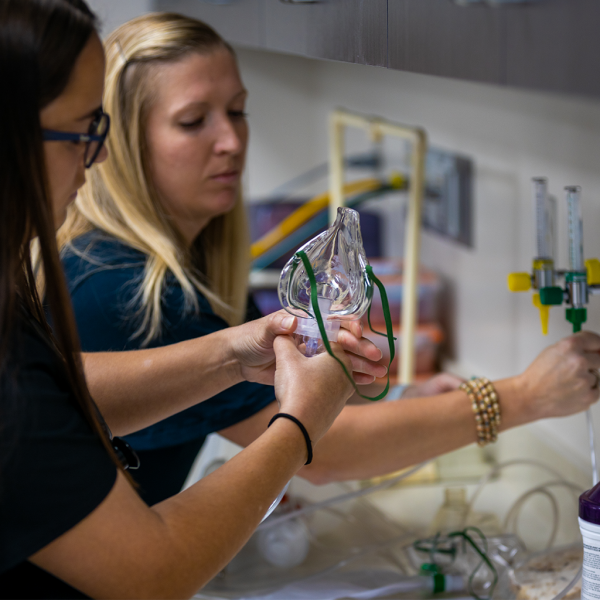 Bachelor of Science in Respiratory Therapy – Respiratory Therapy